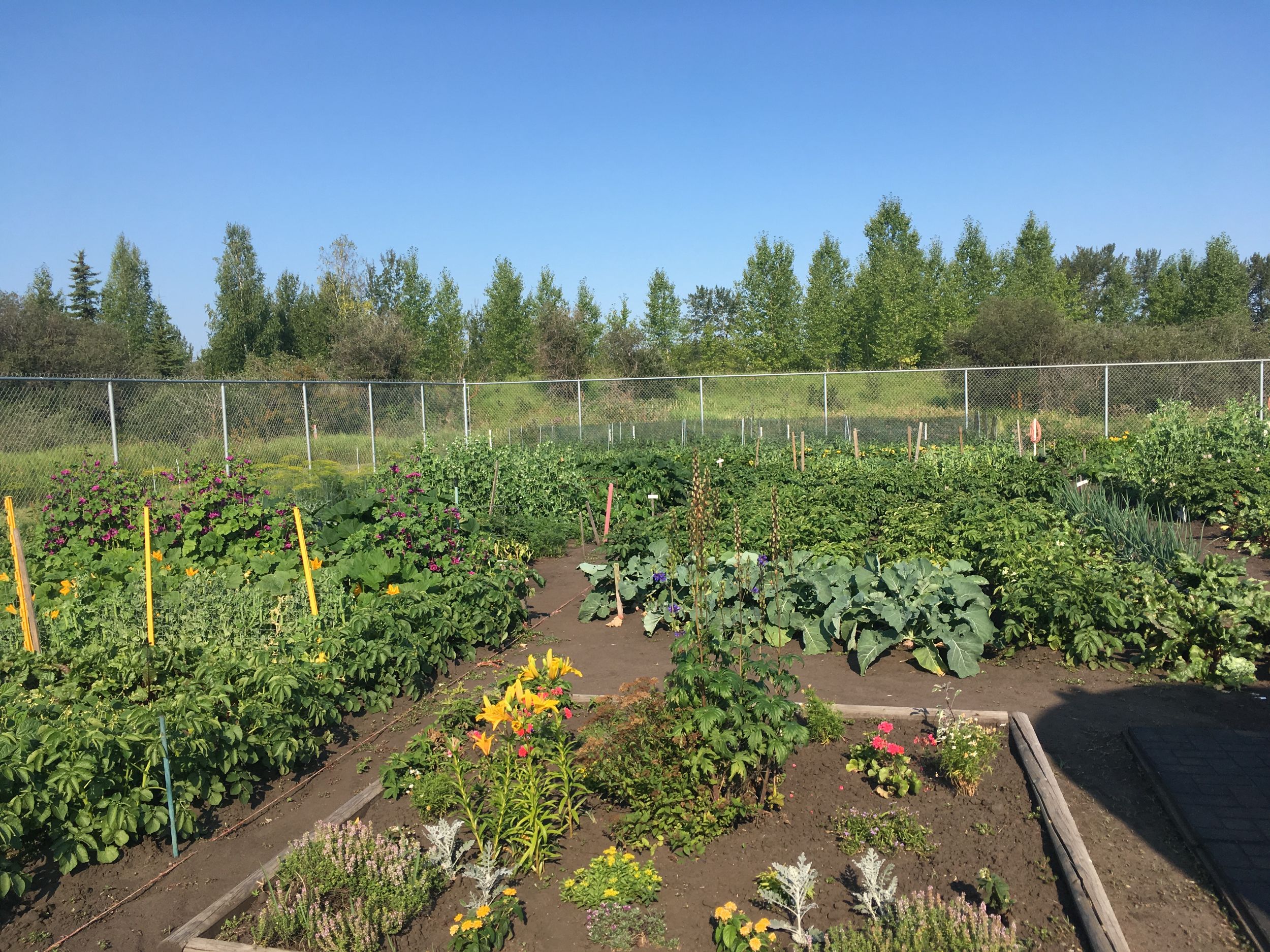 Our Office Team | Ponoka FCSS Administration | Ponoka FCSS