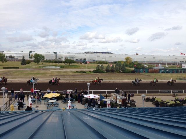 Our Office Team | Ponoka FCSS Administration | Ponoka FCSS