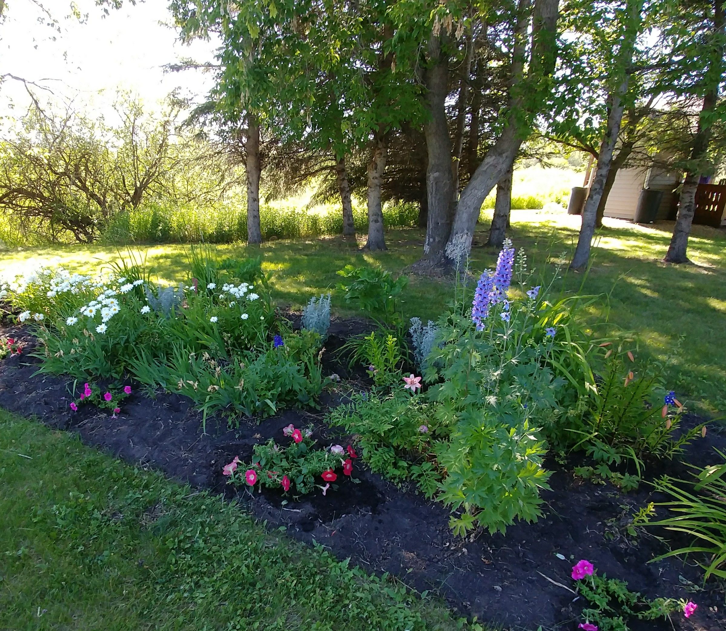 Our Office Team | Ponoka FCSS Administration | Ponoka FCSS